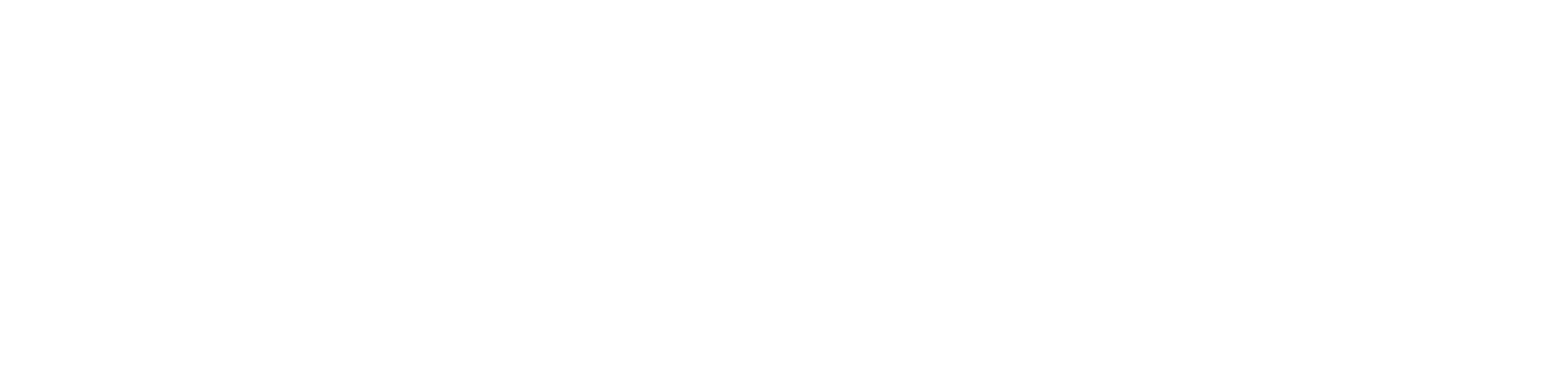 Inicio - Indigo Energy International